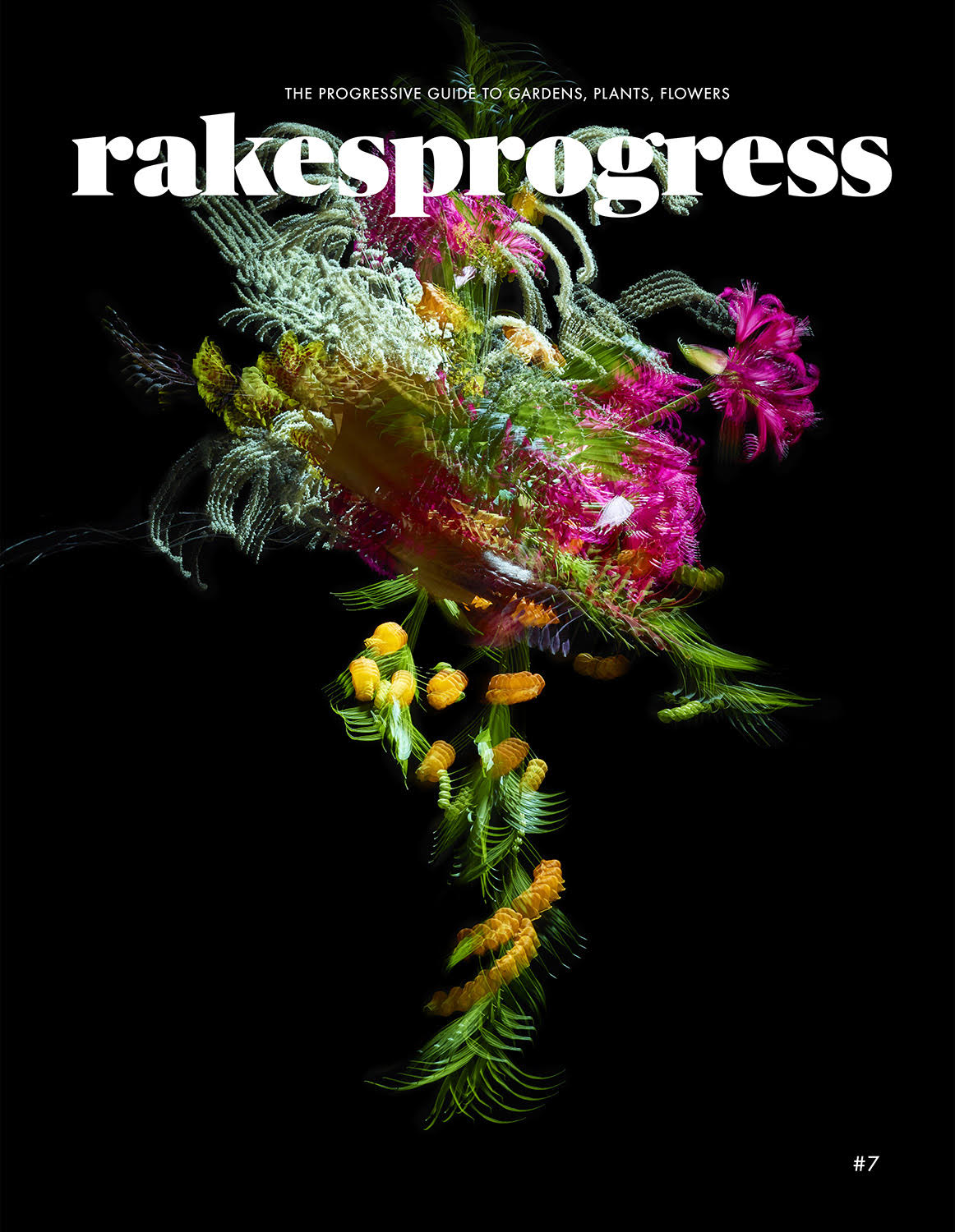 Rakes Progress Issue 7 - PALAIS LONDON